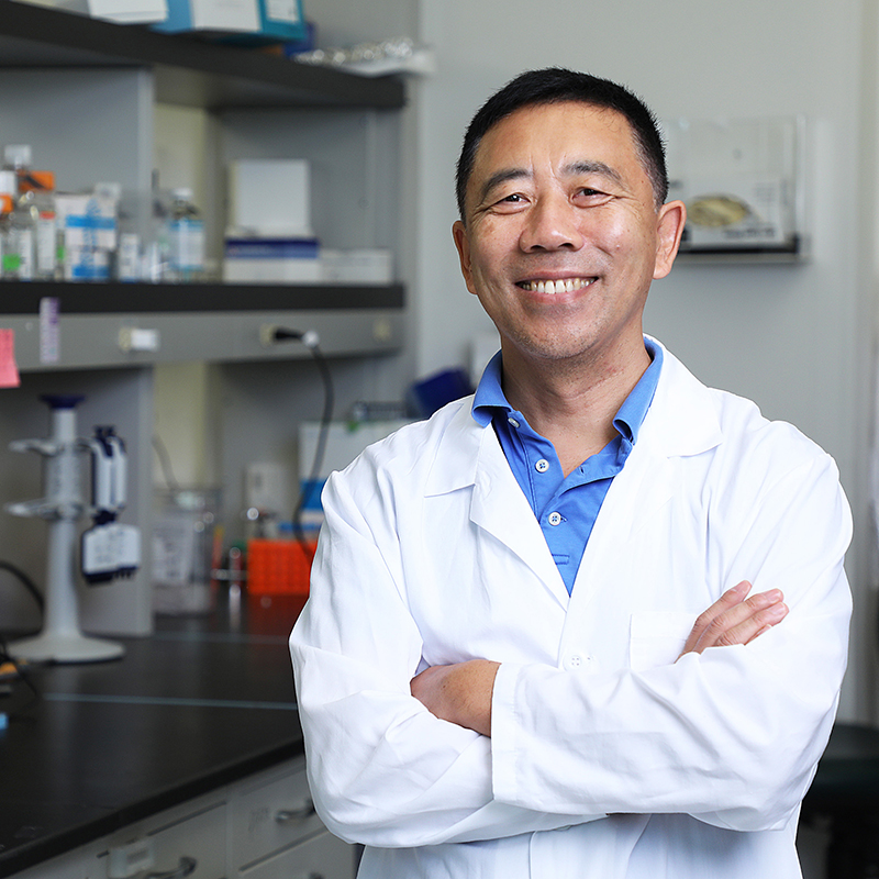 Hai-Hui (Howard) Xue