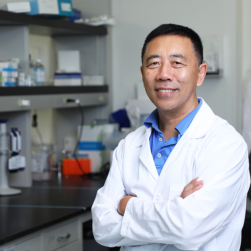 CDI Scientist and Colleagues Demonstrate Better Immune Memory Cell Workings